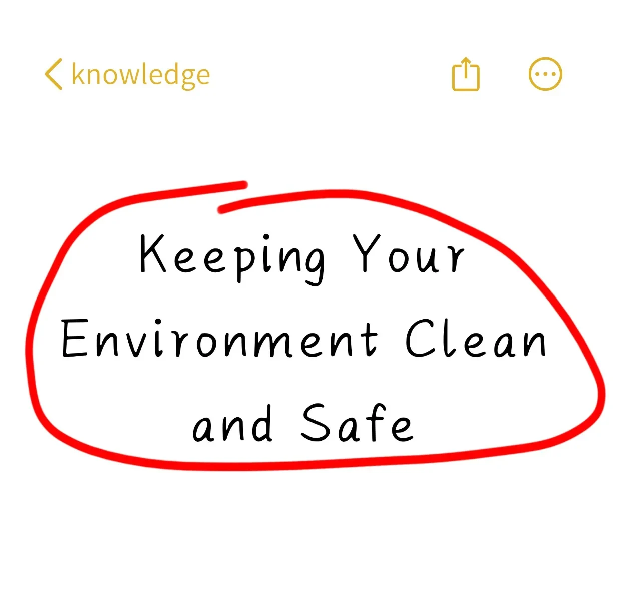Keeping Your Environment Clean and Safe – The Importance of Proper ...